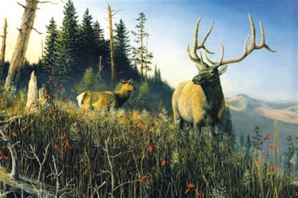 Big Sky Monarch – Jim Hansel Editions, LLC.