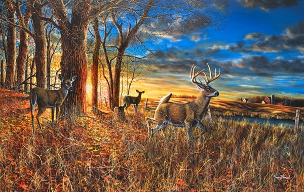 Deer – Jim Hansel Editions, LLC.